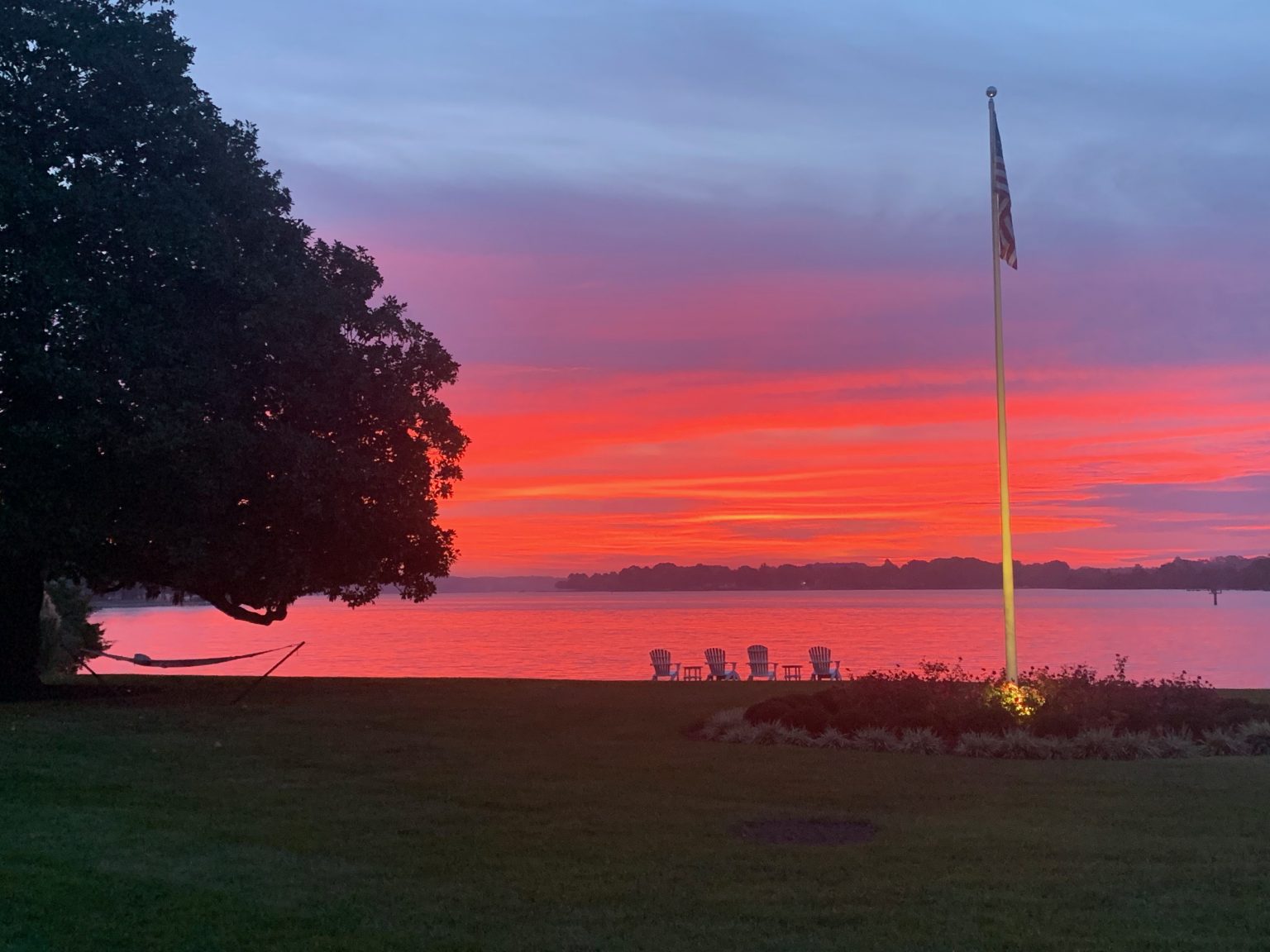 Joanne Leedom-Ackerman Archives - Joanne Leedom-Ackerman